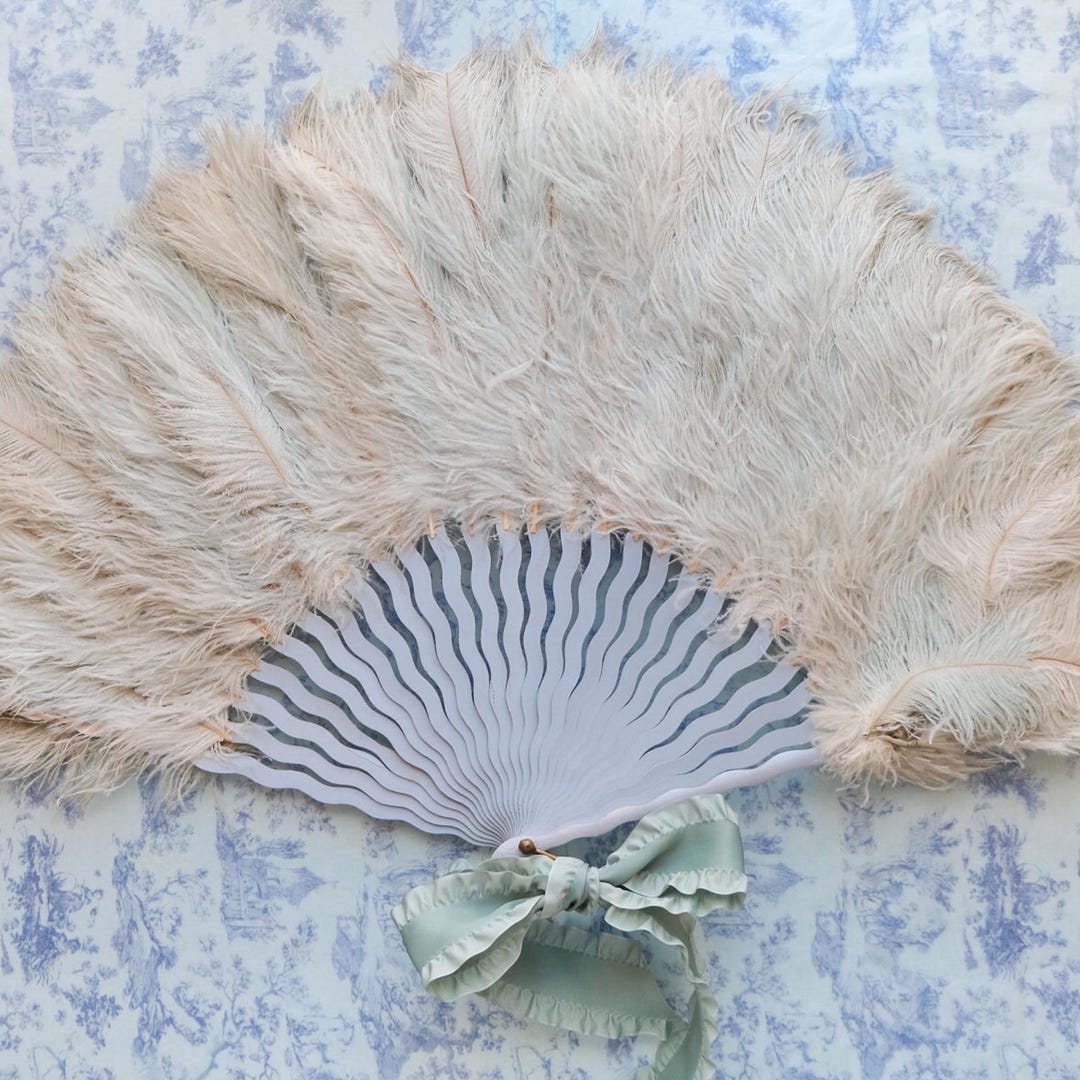 Antique RARE Ostrich Blue Feather Fan - Etsy