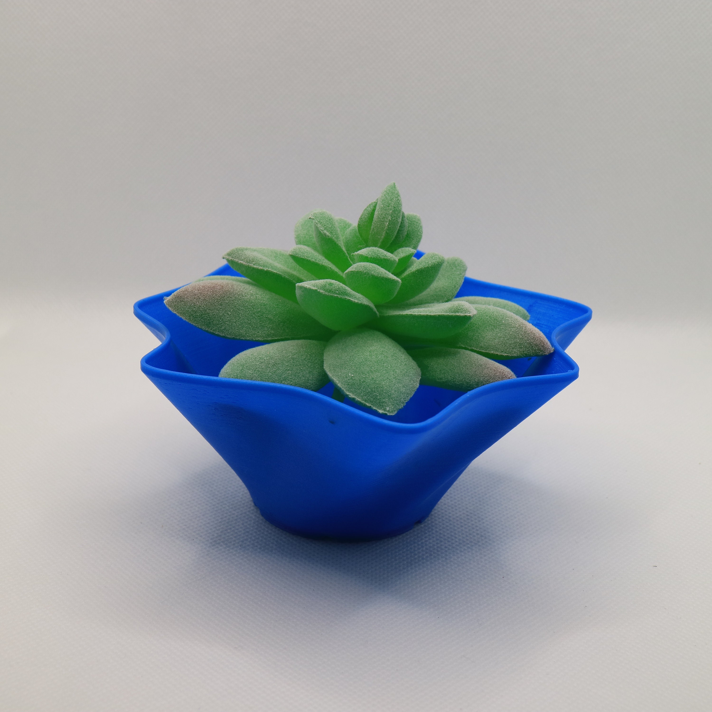 Organic Shape Plant Pot / Planter Artistic Eco-friendly, Sustainable ...