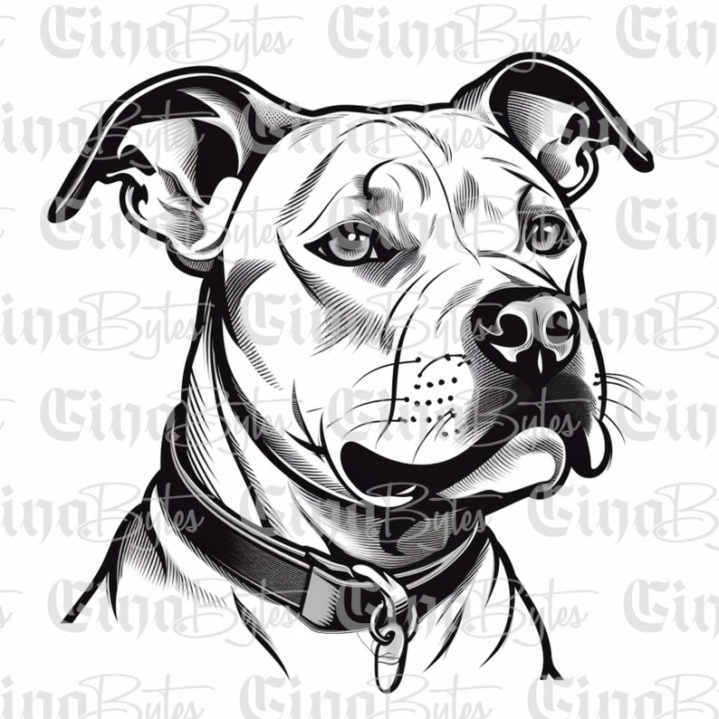 Pitbull Illustrations 10 High Definition Stock Photos Vector Drawing ...