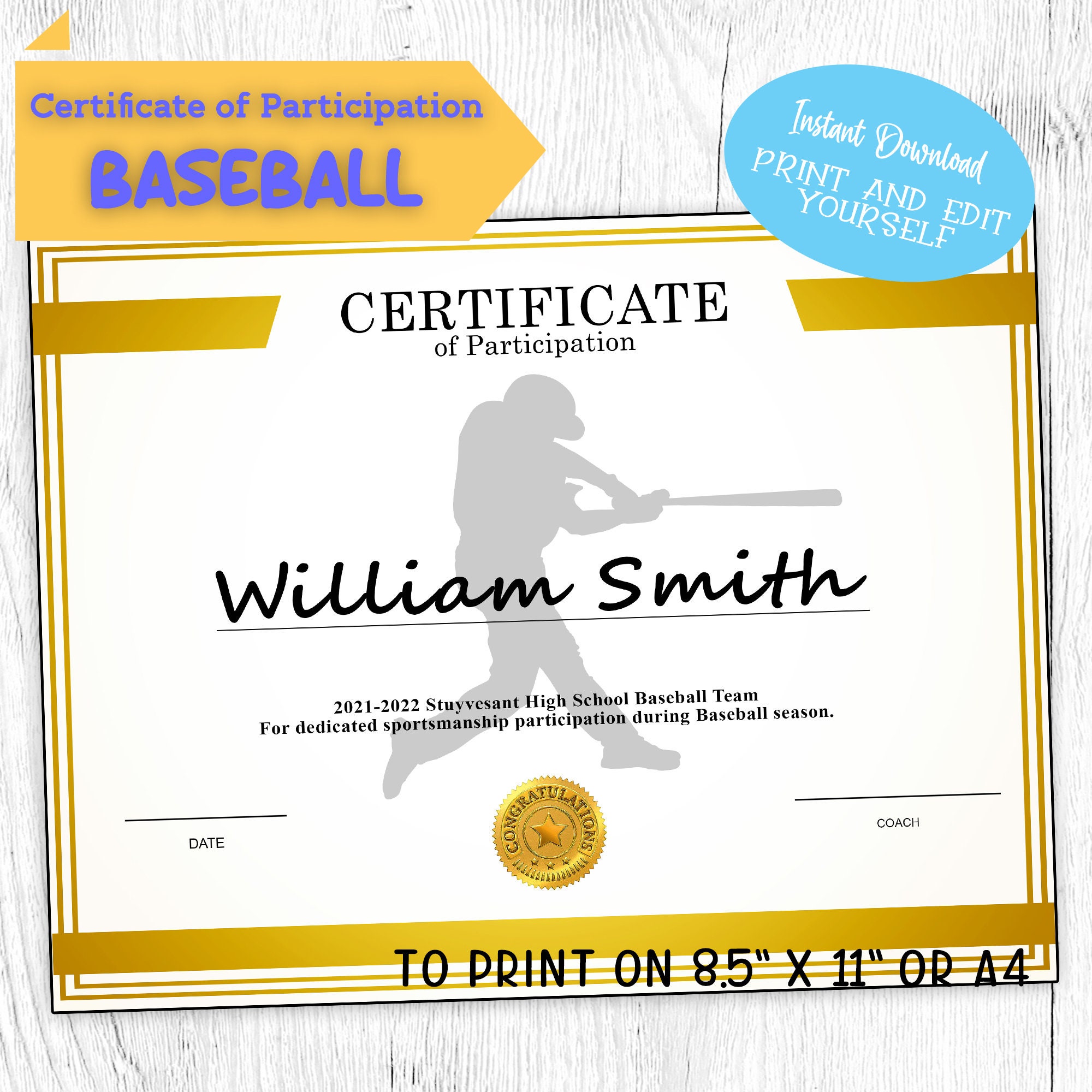 DIY Editable and Printable Sports Certificate Template Baseball ...