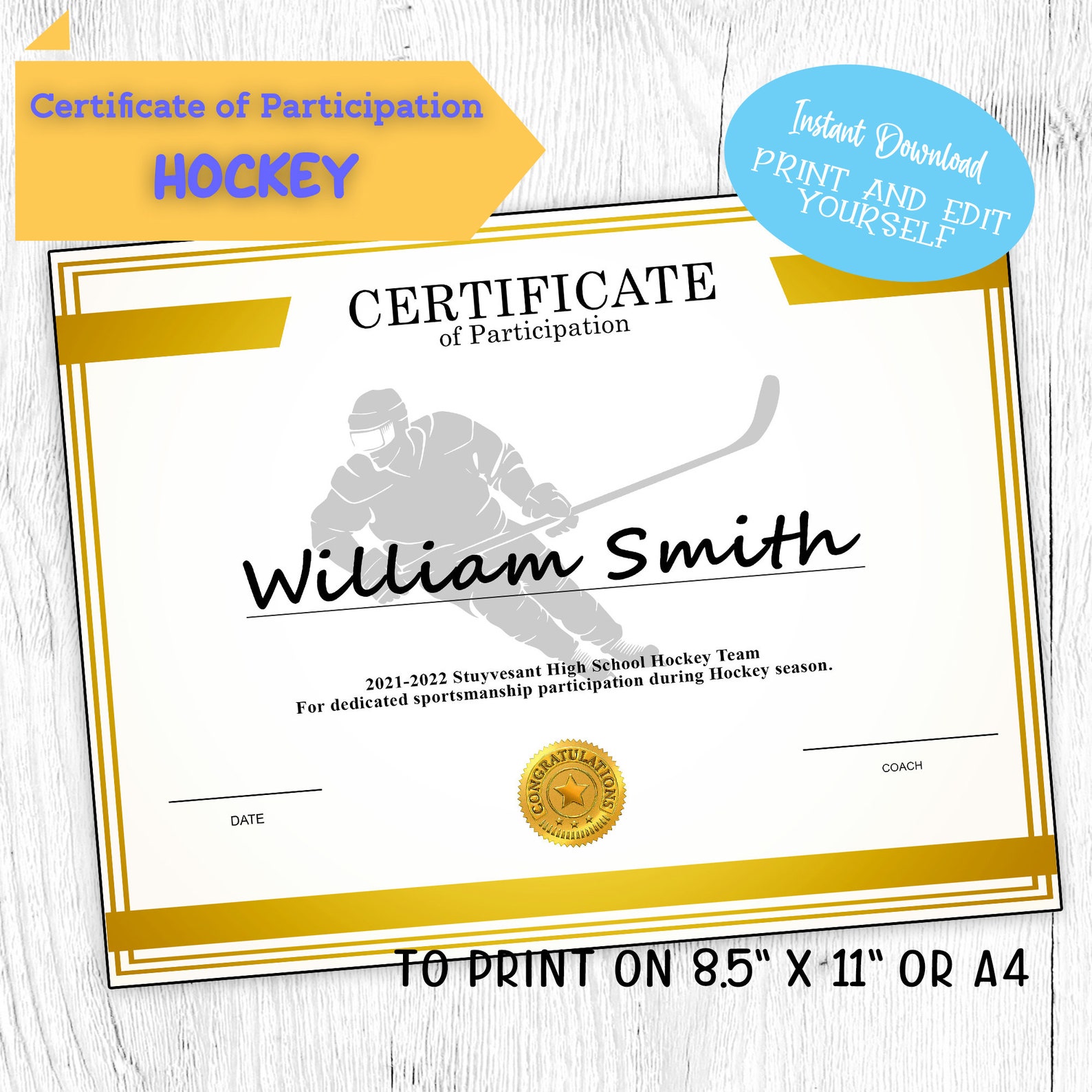 DIY Editable and Printable Sports Certificate Template Hockey ...