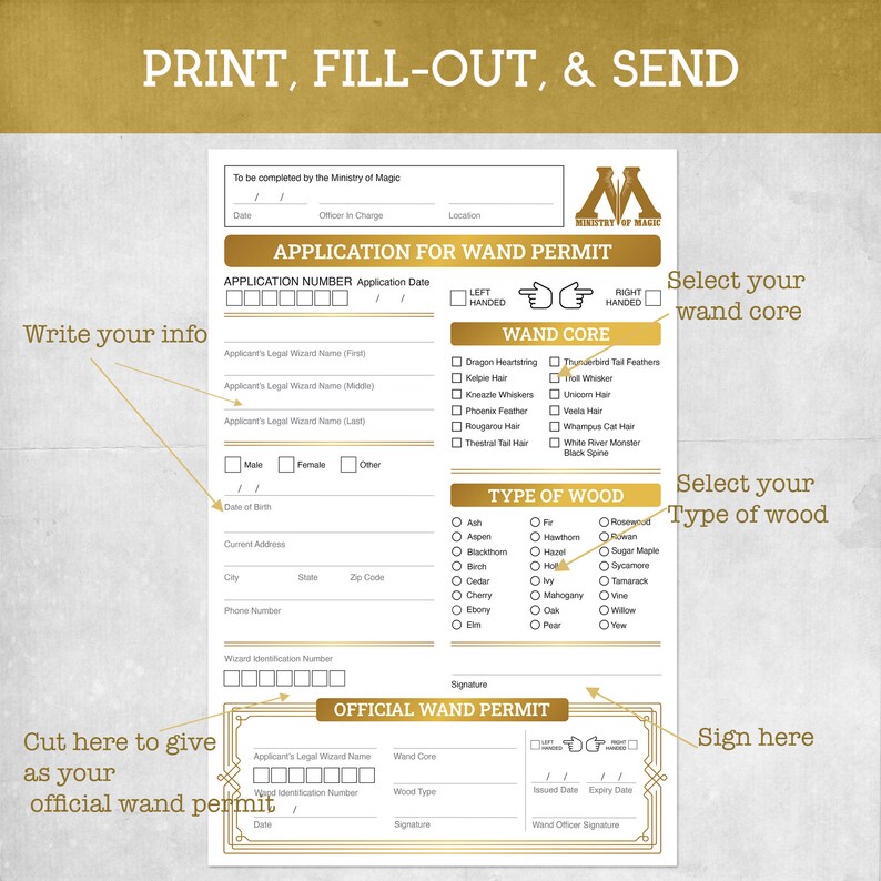 DIY Editable and Printable Wand Application Certification Permits for ...