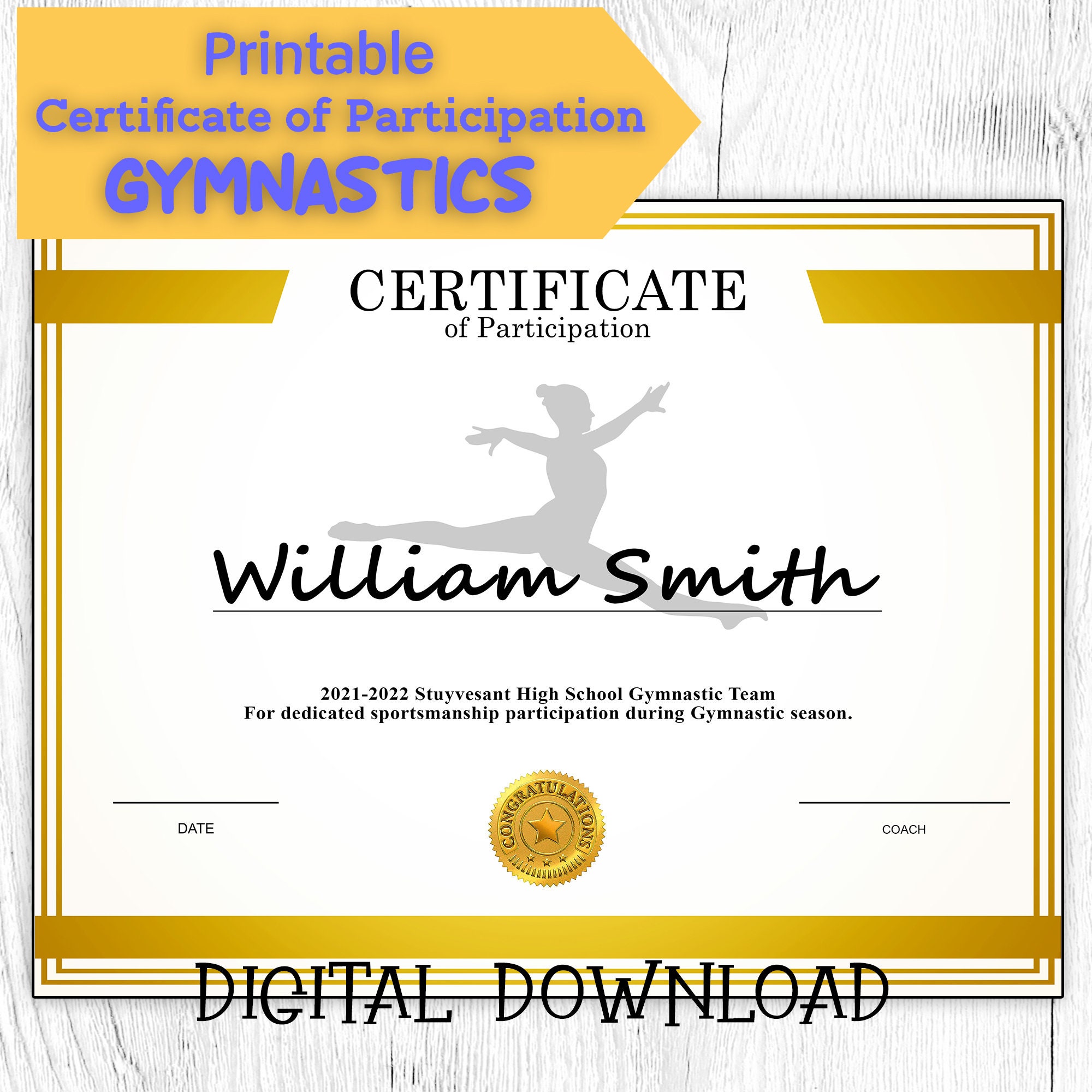 DIY Editable and Printable Sports Certificate Template Gymnastics, Participation Award ...