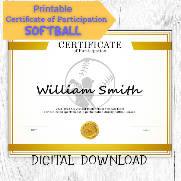 Softball Award Template - Etsy