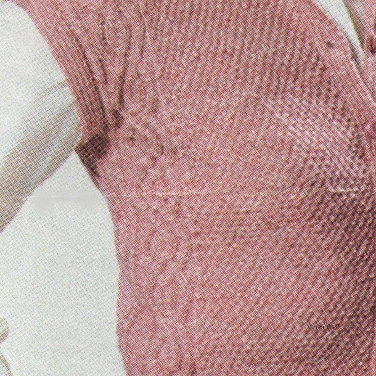 Knit Waistcoat Pattern Pdf Download 5 Sizes - Etsy