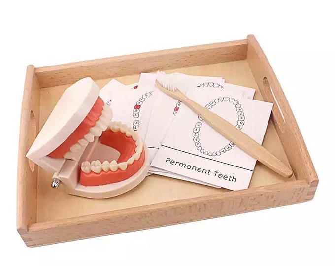 Brushing Teeth Felt Board Pieces // Flannel Board Pieces // Teeth ...