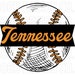 Tennessee Baseball University of Tennessee-png File-instant Download - Etsy