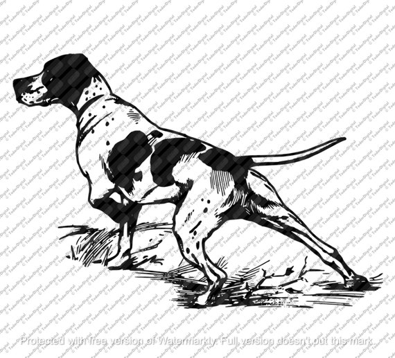English Pointer Silhouette