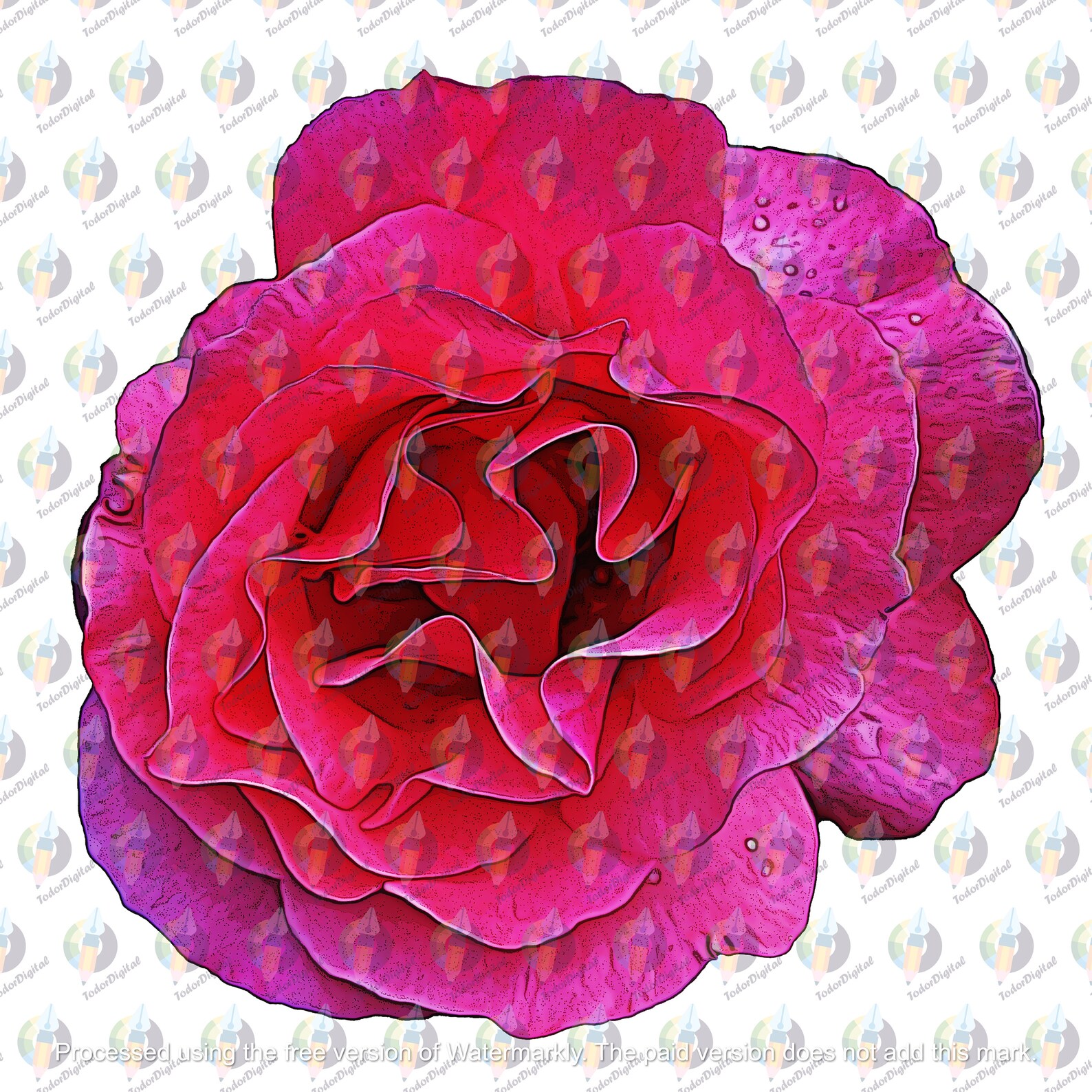 Rose Clipart Rose Sublimation Rose Png Watercolor - Etsy