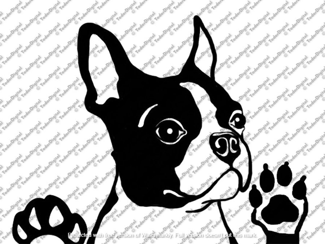 Boston Terrier Svg File Boston Terrier Clipart Dog Svg Dog Cut File ...