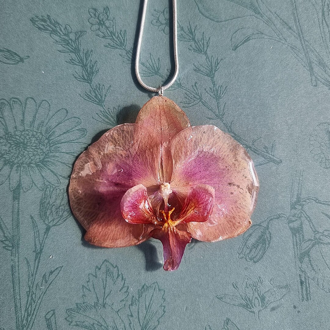 Asian Coral Orchid Phalaenopsis Orchid Pendant With Cord; Phalaenopsis ...