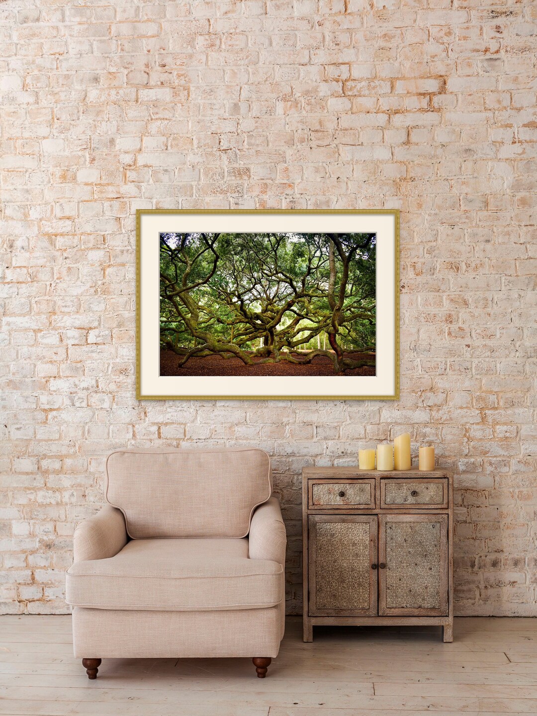 Angel Oak, Live Oak, Southern Trees, South Carolina, Oak Alley - Etsy