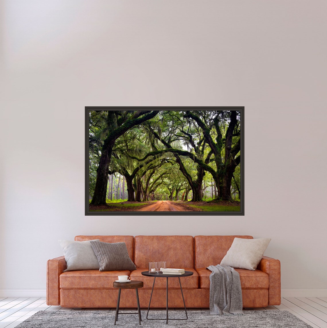 Live Oak Alley, South Carolina Live Oak, Old South Alley, Plantation ...