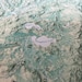 Landforms of Michigan Map Poster - Etsy