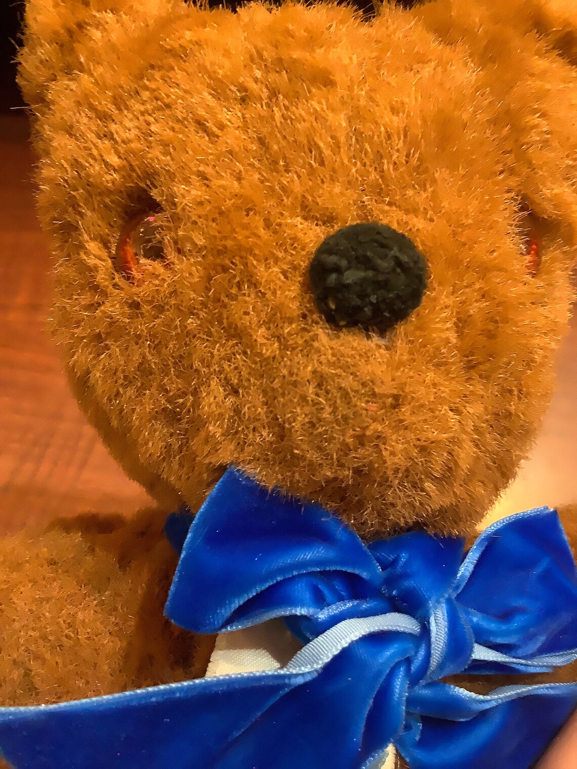 Vintage Wind-up Musical Teddy Bear Made in Canada - Etsy