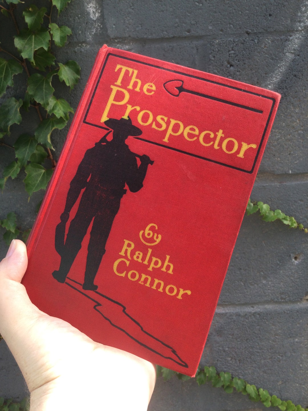 The Prospector by Ralph Connor Vintage Novel - Etsy