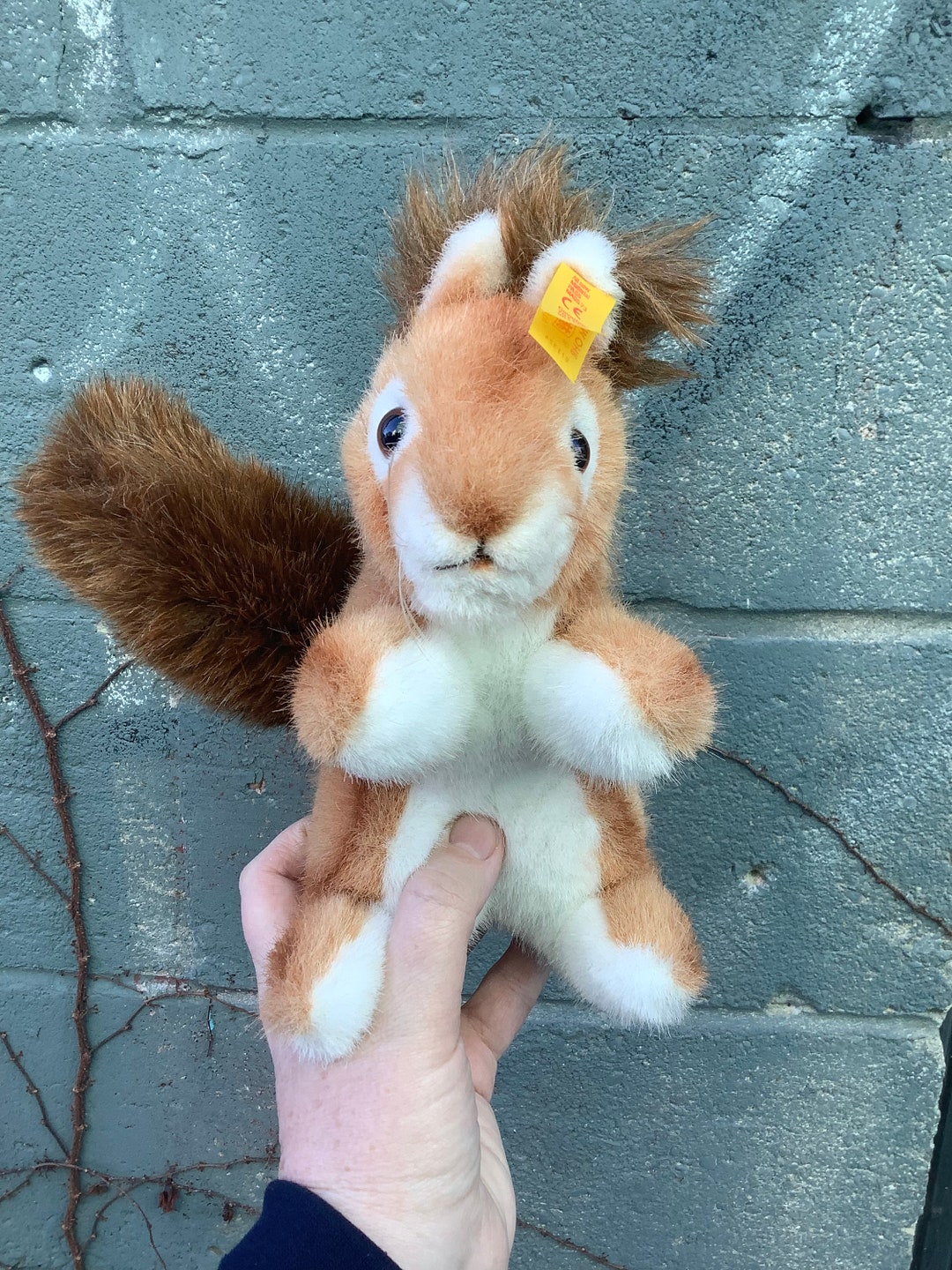 Vintage Steiff Ricky Squirrel 071324 Button in Ear - Etsy