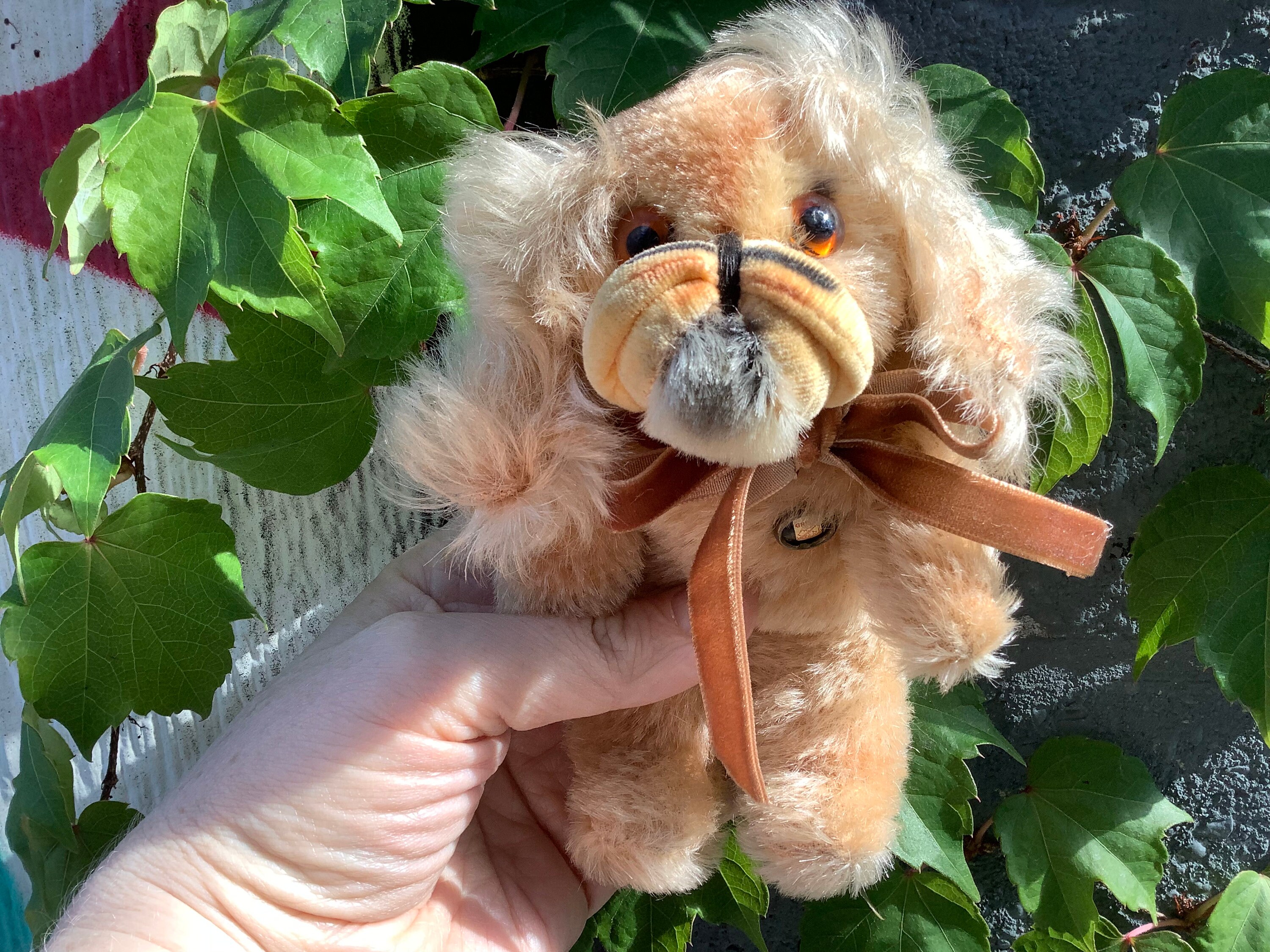 Rare Grisly Pekingese Puppy Dog Mohair Stuffed Toy With Original Chest ...