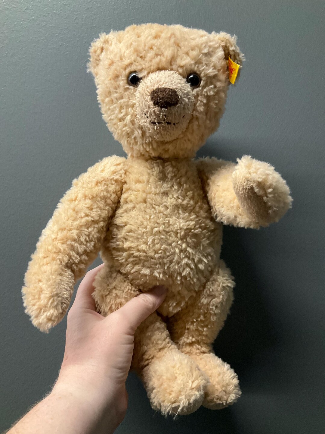 Steiff Special Edition Holland America Cruise Line 14” Teddy Bear - Etsy