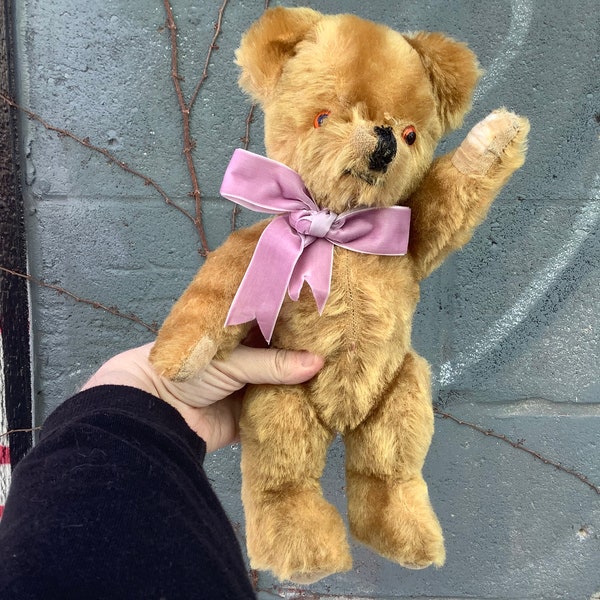 Bear Alpha Plushies - Etsy