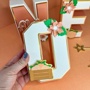 Peach 3D Letters, Peach Party Decoration, One Sweet Peach, Peach Party ...