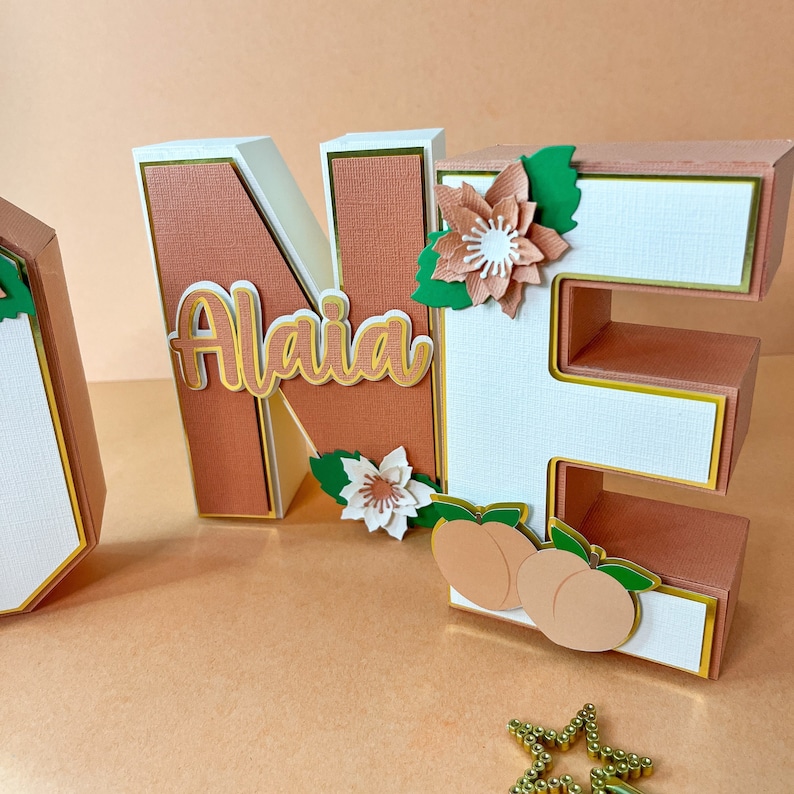 Peach 3D Letters Peach Party Decoration One Sweet Peach - Etsy