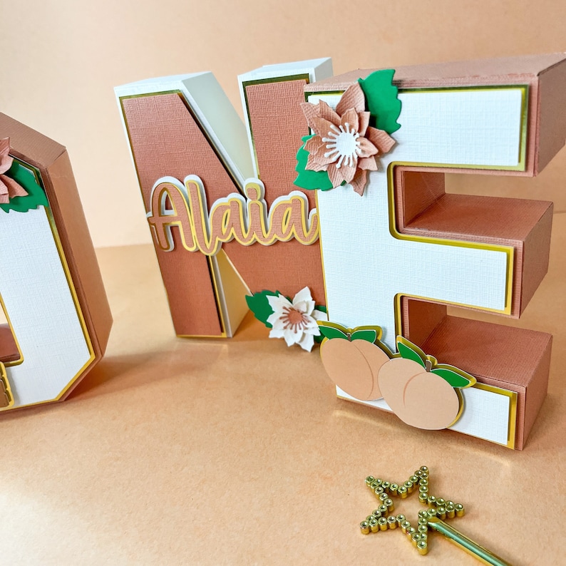 Peach 3D Letters Peach Party Decoration One Sweet Peach - Etsy