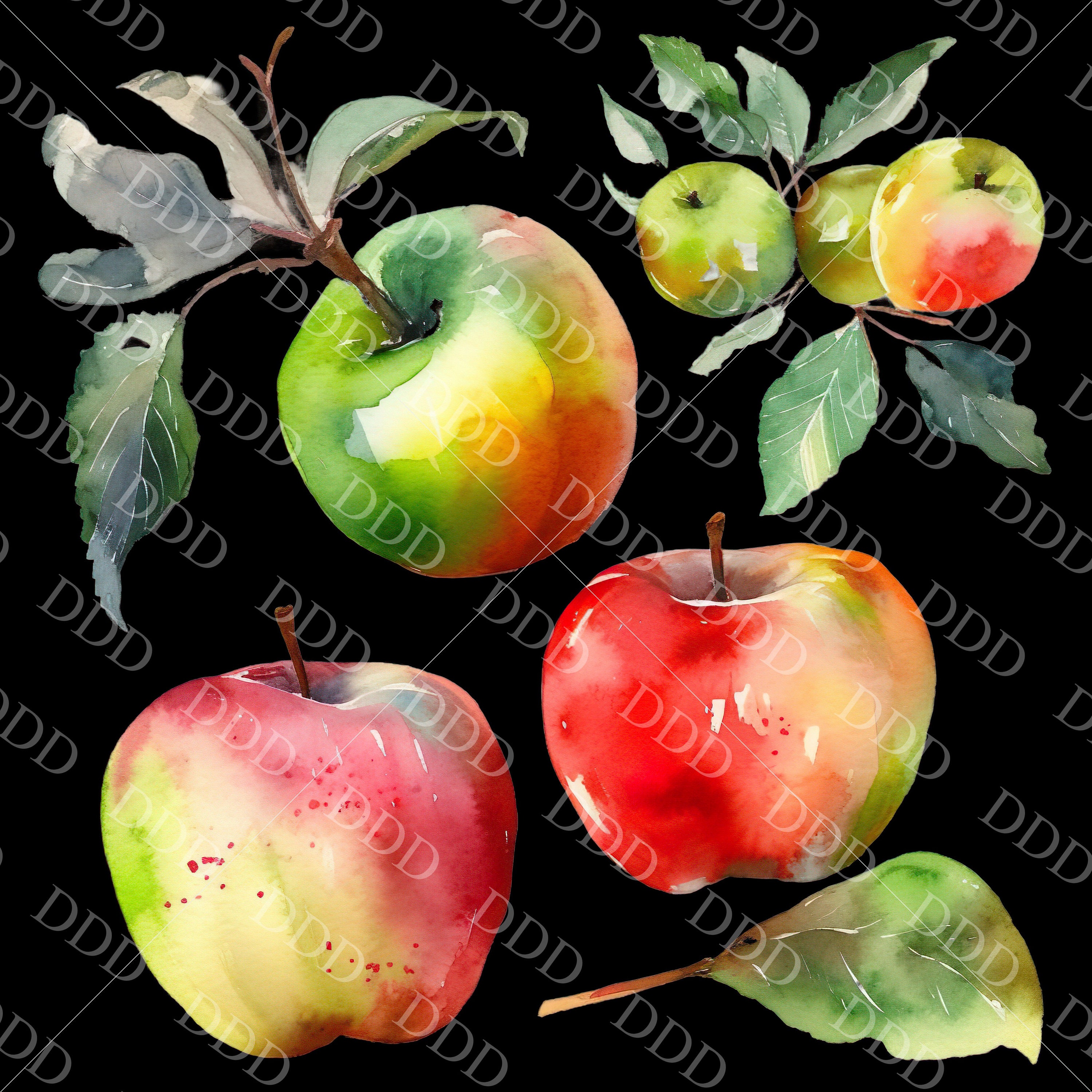 Apple Clipart, Fruit Clipart, Apple Clipart Bundle, Food Clipart ...