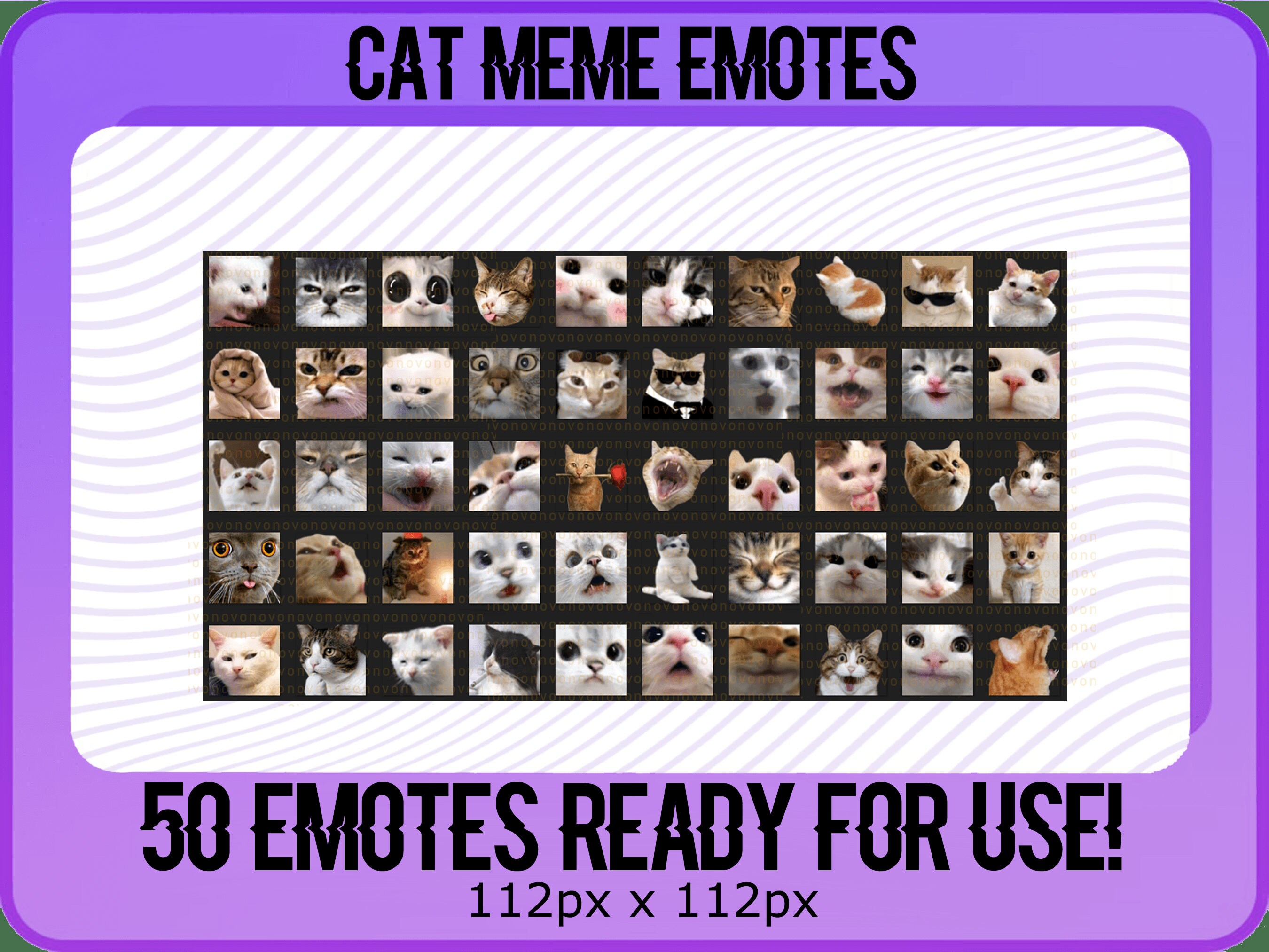 Cat Emotes 50 Pack Meme Cats Twitch Youtube Emotes - Etsy