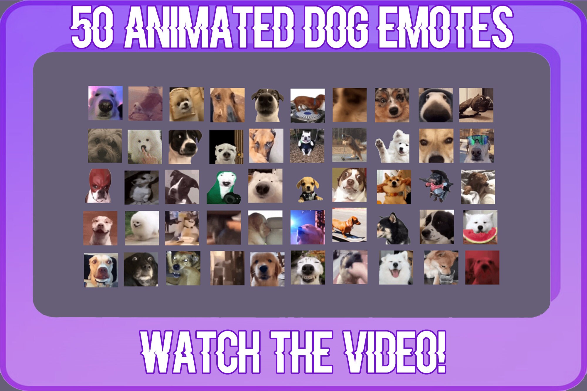 50 ANIMATED DOG EMOTES | Meme Dogs Twitch Discord Emotes - Etsy