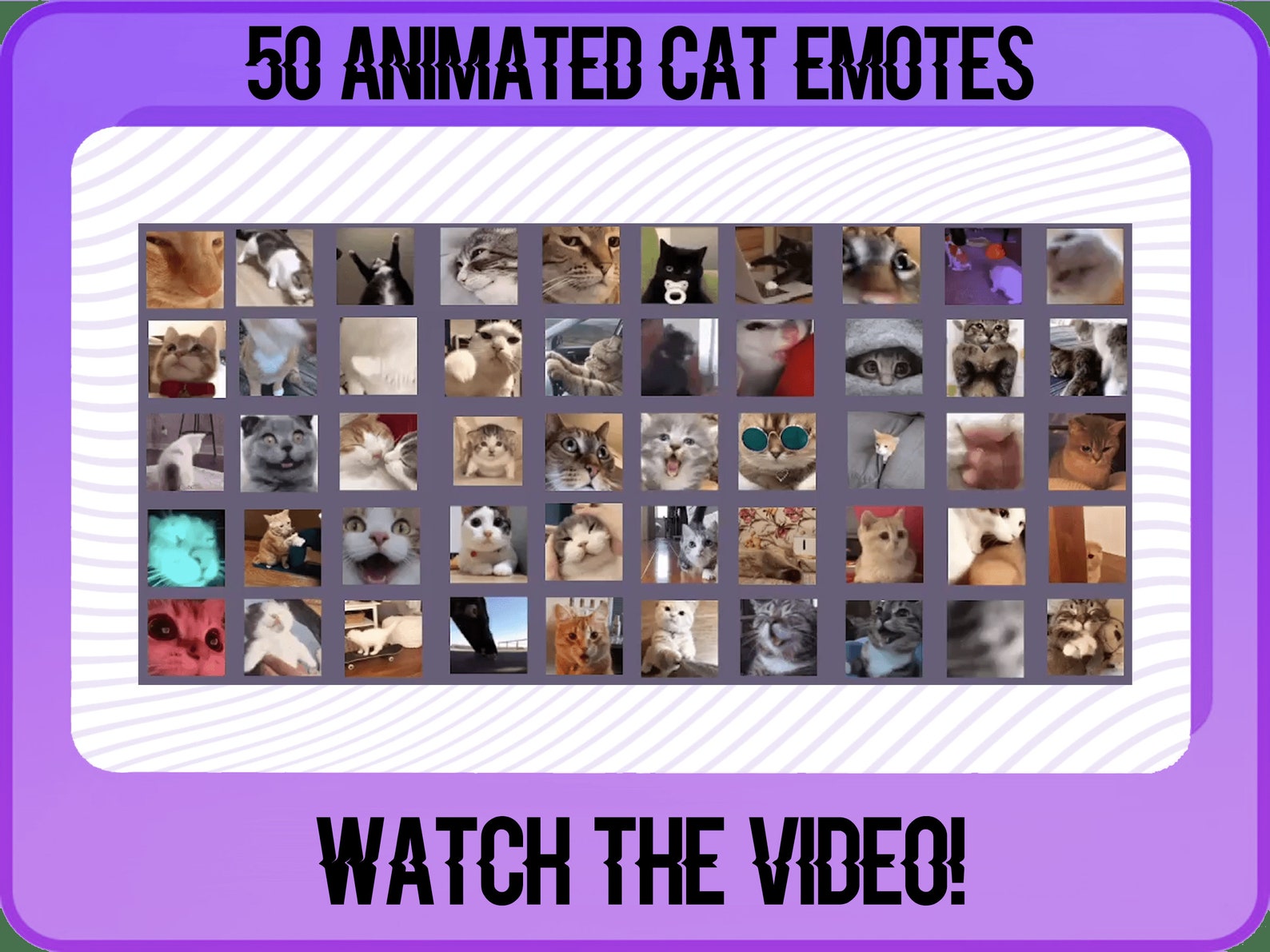 50 ANIMATED CAT EMOTES Meme Cats Twitch Youtube Emotes - Etsy