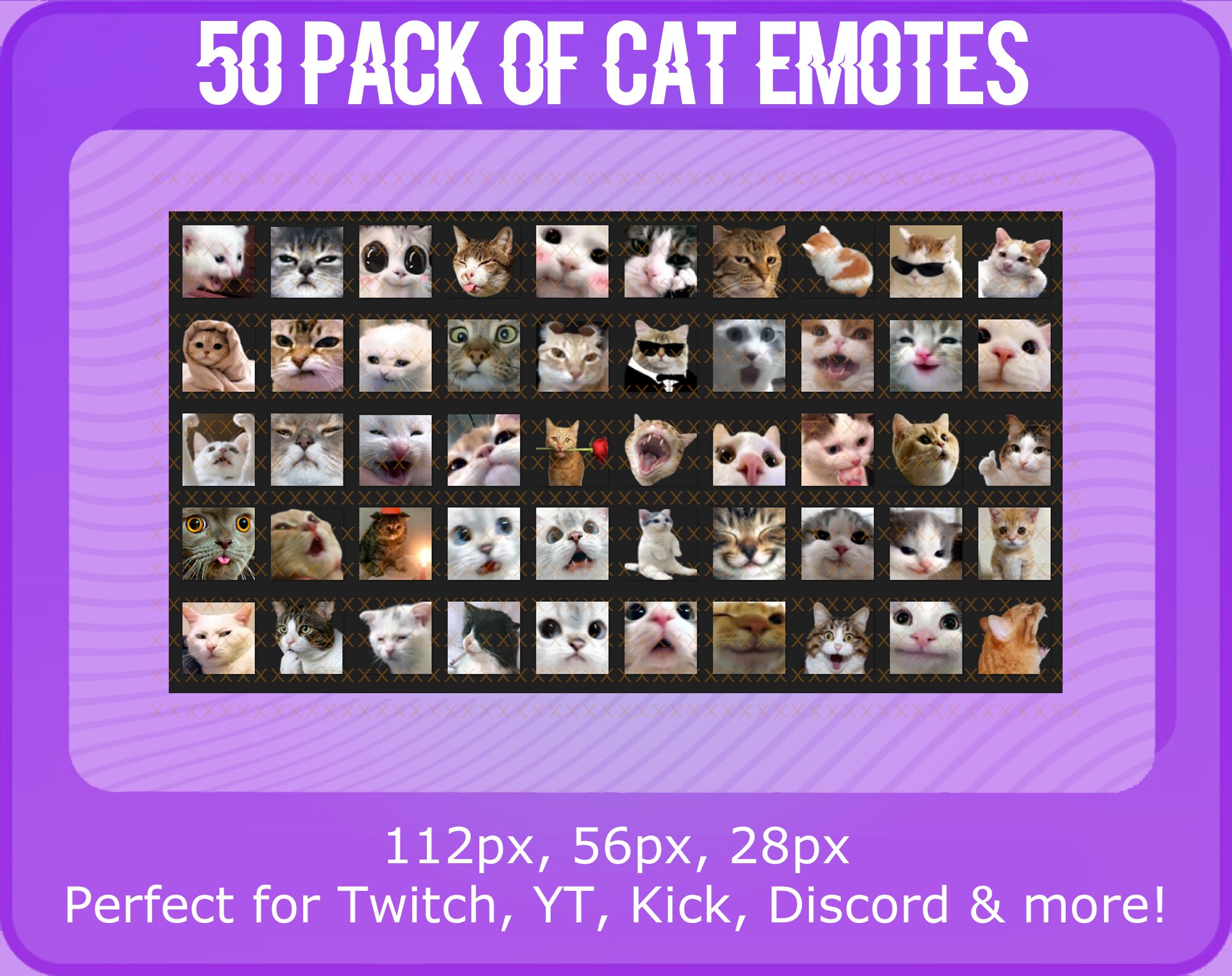 Cat Emotes 50 Pack | Meme Cats Twitch Youtube Emotes - Etsy