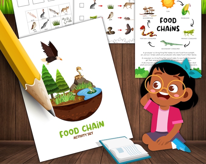 Food Chain Printable Set Food Chain Printable Download - Etsy