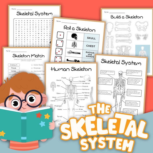 Skeletal System - Etsy