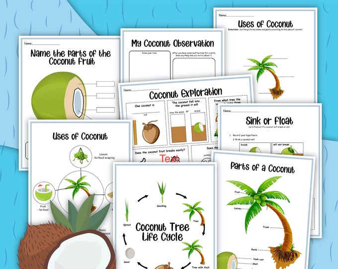 Coconut Tree, Coconut Tree Life Cycle, Instant Download, STEM Workbook ...