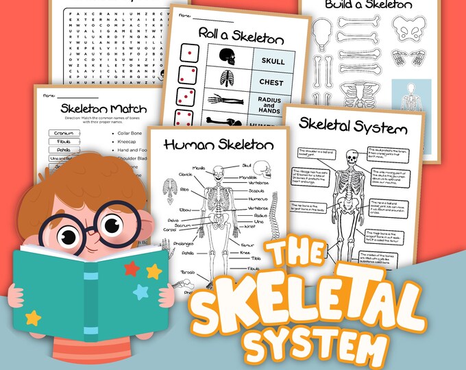 Skeletal System Practice Page Human Bones Activities Sheet Skeleton ...
