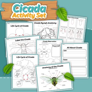 Cicada Unit Study, Cicada Workbook, Digital Download, Instant Download ...