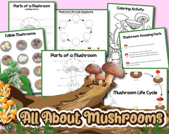 Life Cycle Mushroom - Etsy