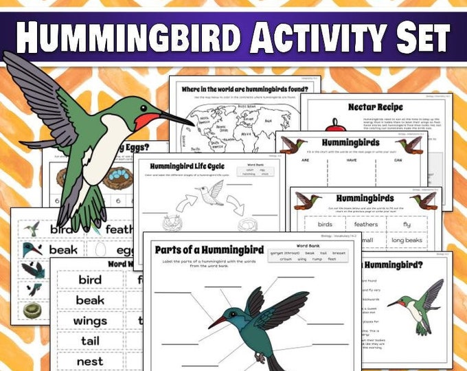 Hummingbird Life Cycle, Instant Download STEM Workbook, Digital ...