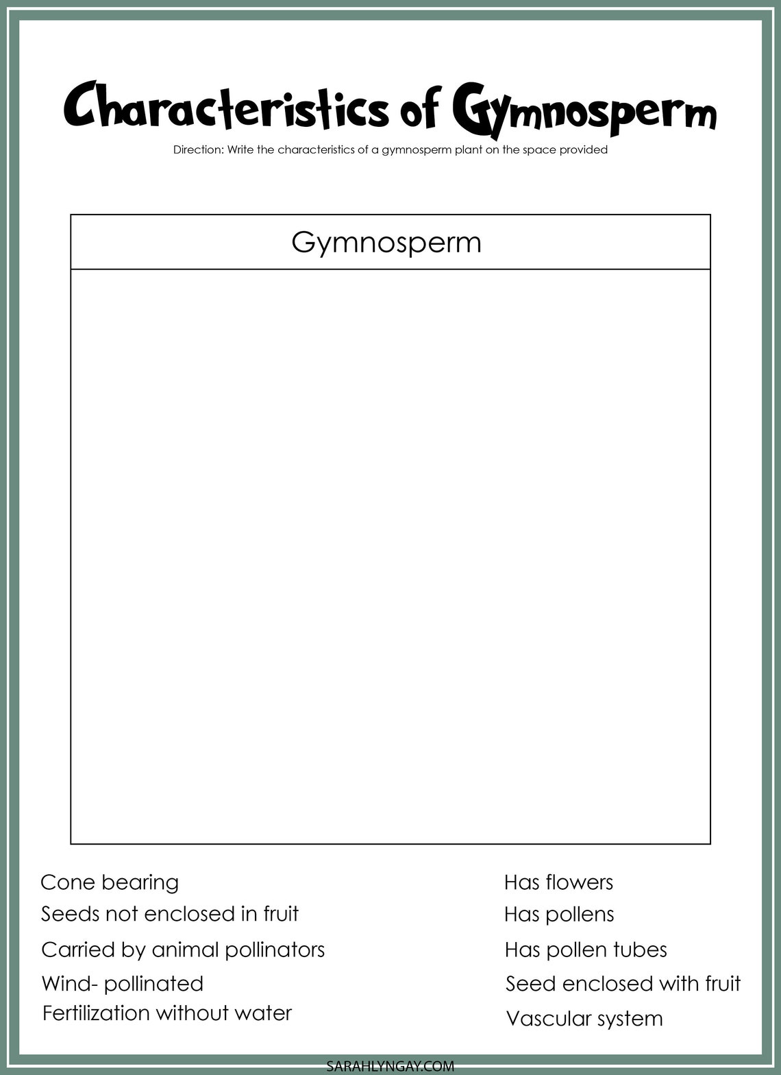 Gymnosperm Activity Set for Kids Instant Download STEM | Etsy