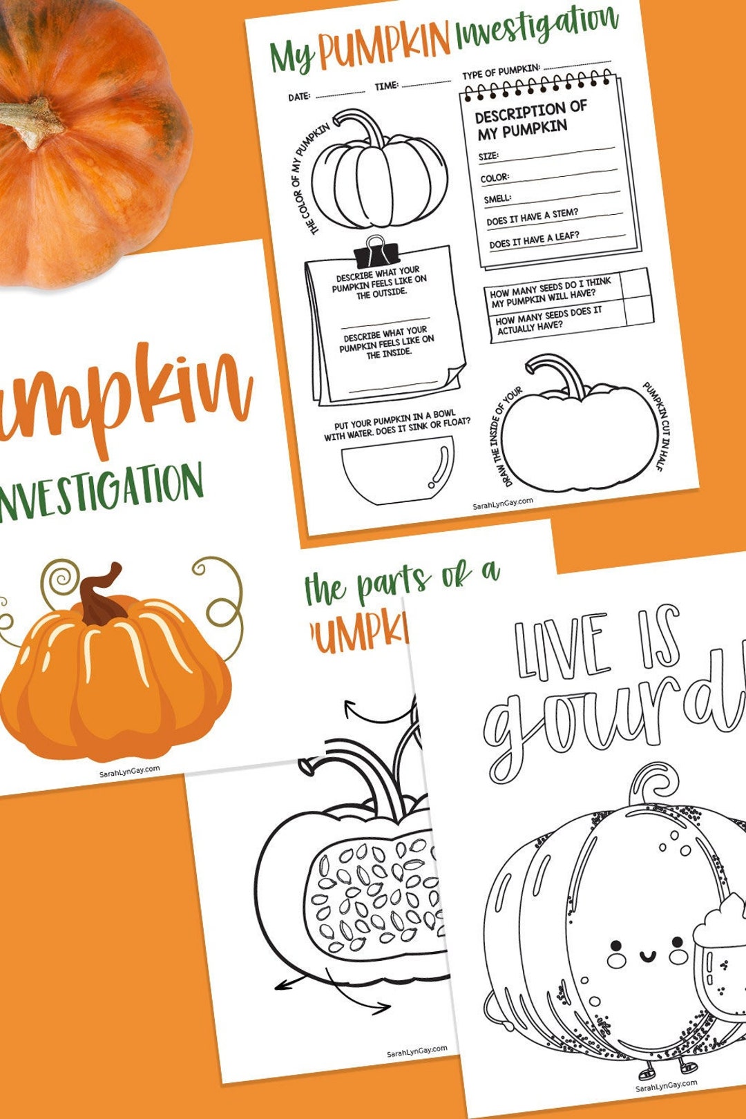Pumpkin Investigations, Pumpkins, Pumpkin Printables, Instant Download ...