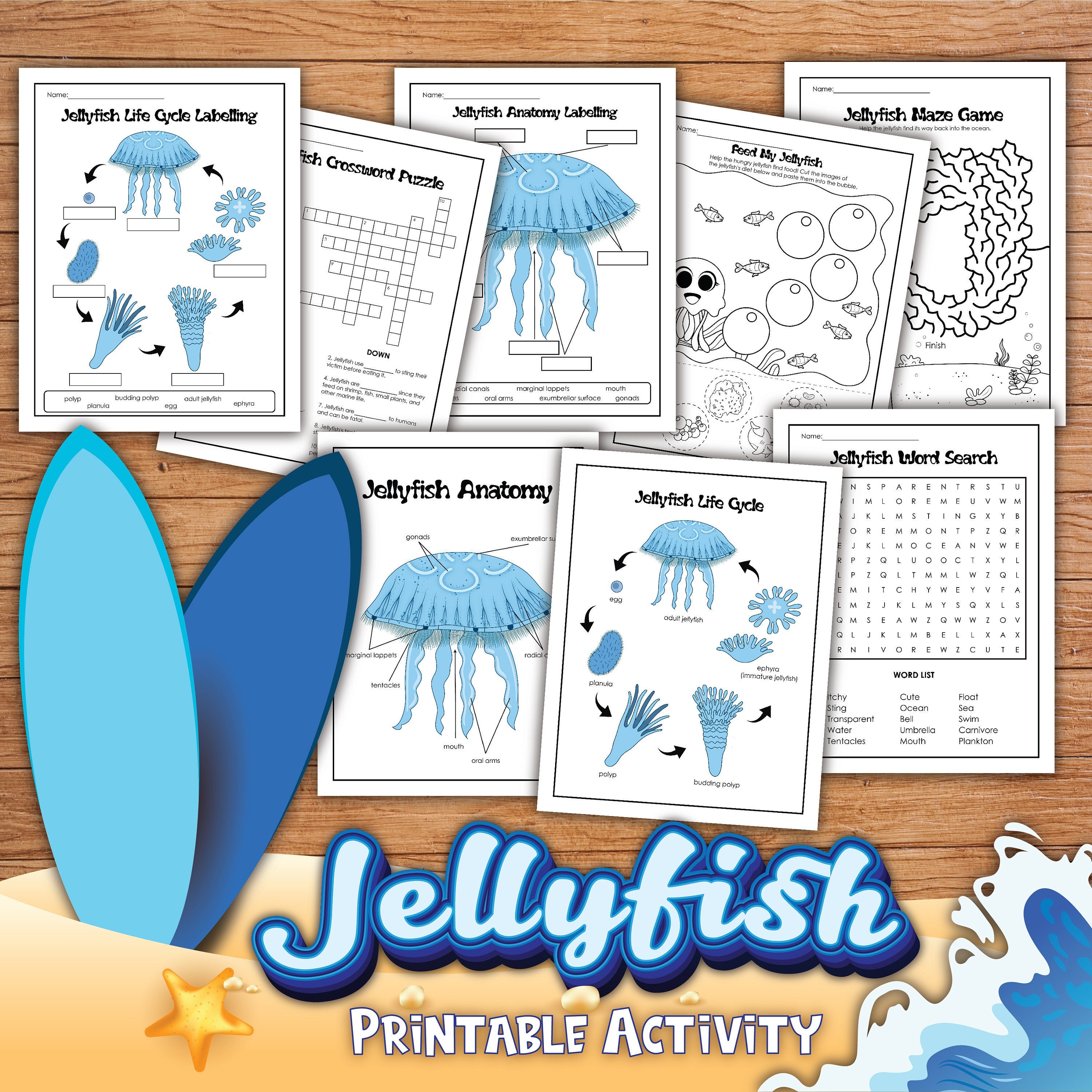 Jellyfish Printable Activity, Jellyfish, Digital Download, Instant ...