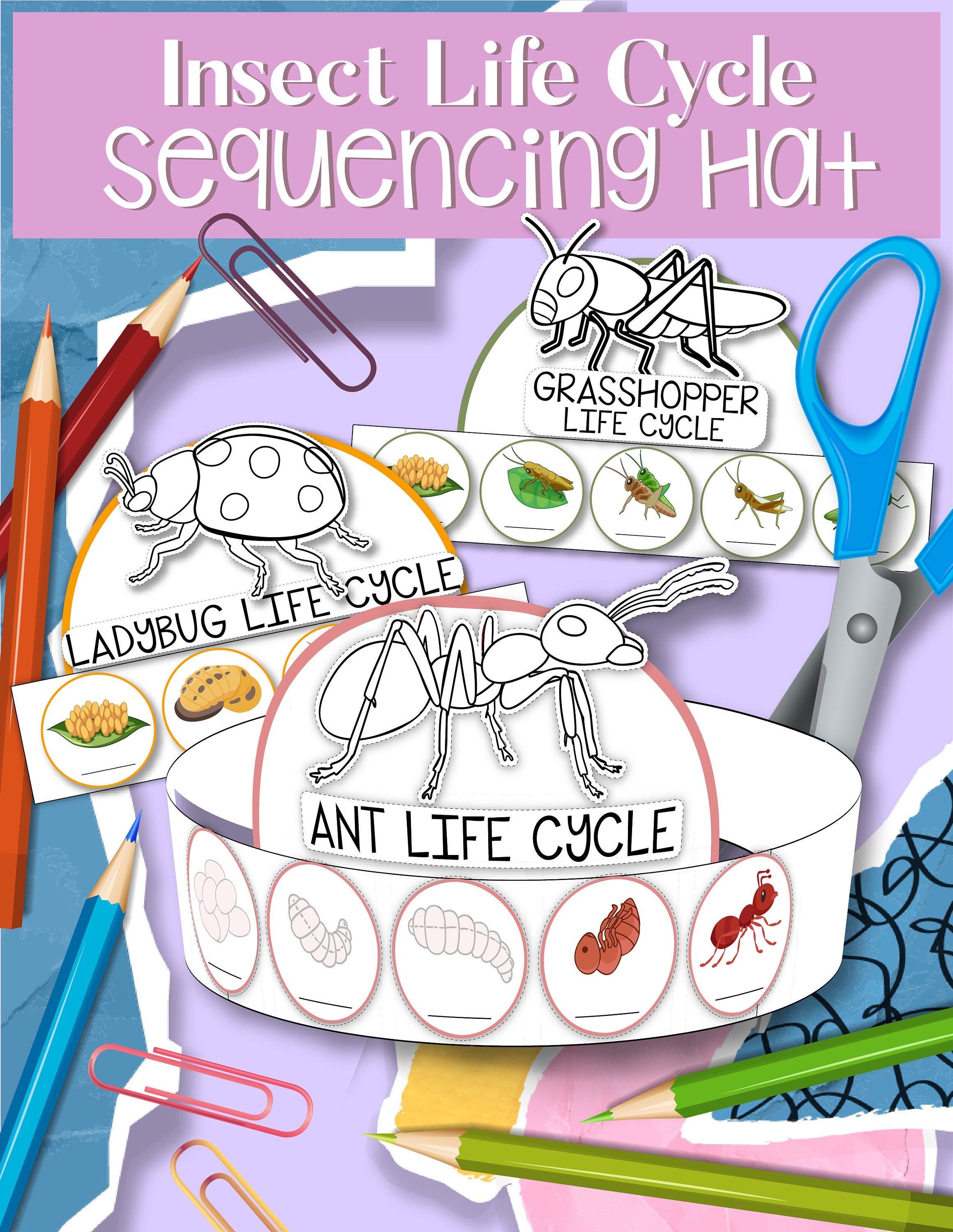 Insects Lifecycle Sequencing Hat, Insects, Lifecycle, Sequencing Hat ...