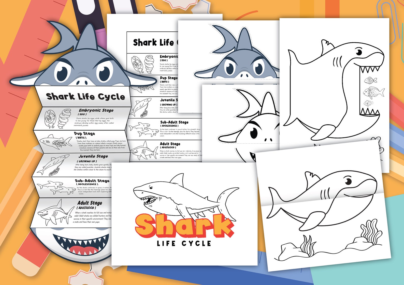 Shark Life Cycle Foldouts, Sharks, Digital Download, Printable Download ...