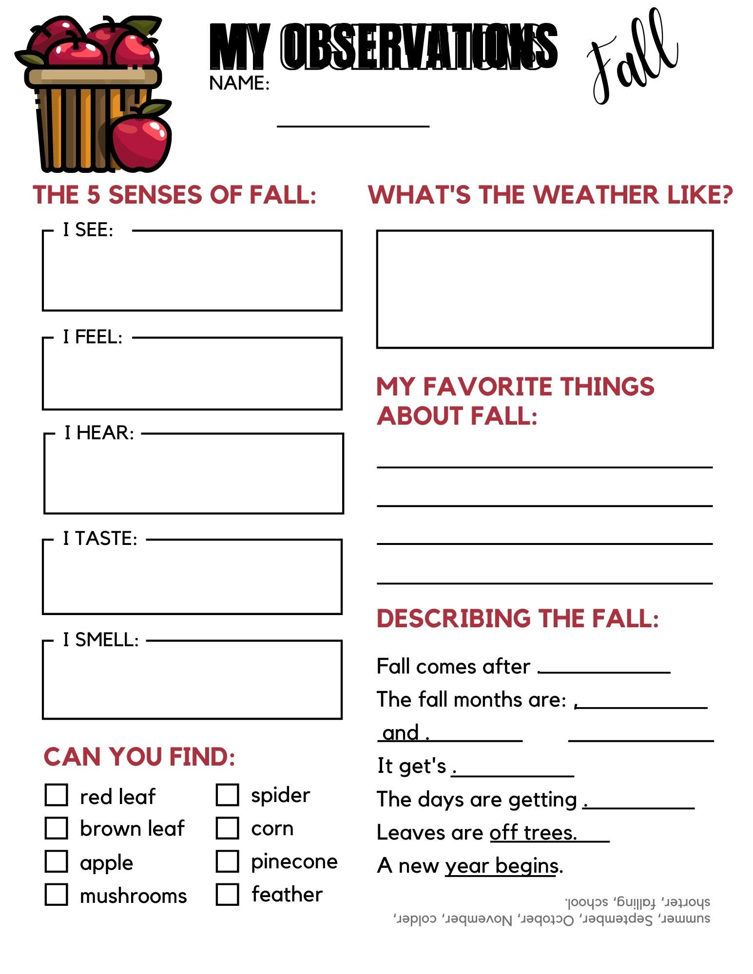 Fall Observations Worksheet, Instant Download, STEM Worksheet, STEM for ...
