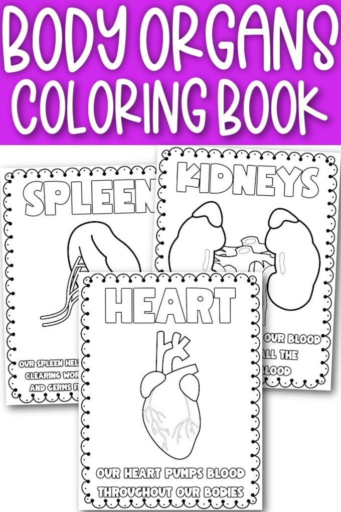 Body Organs Coloring Book, Printable Download, Digital Download, STEM ...