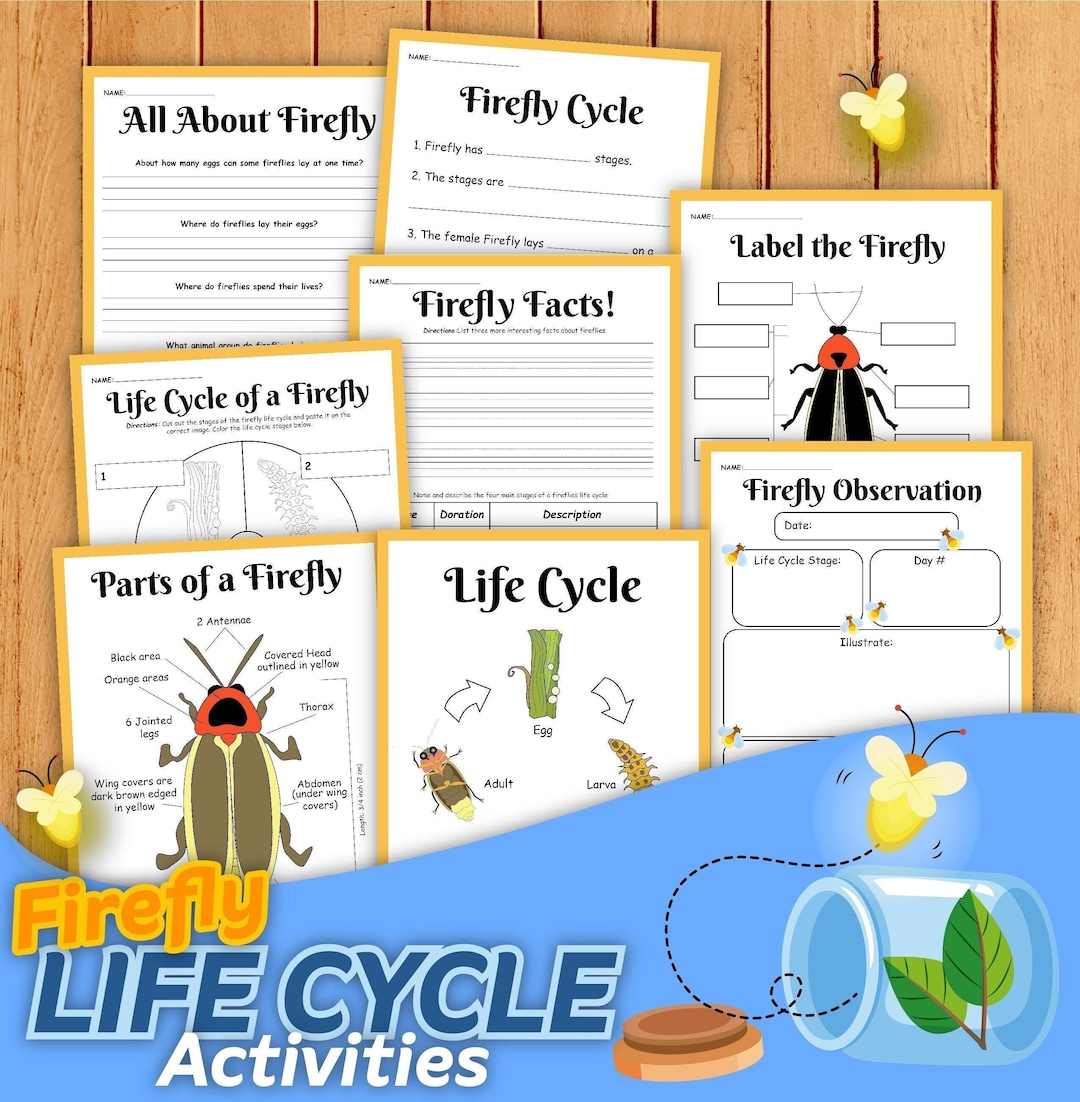 Firefly Lifecycle Activity Set, Fireflies, Digital Download, Instant ...
