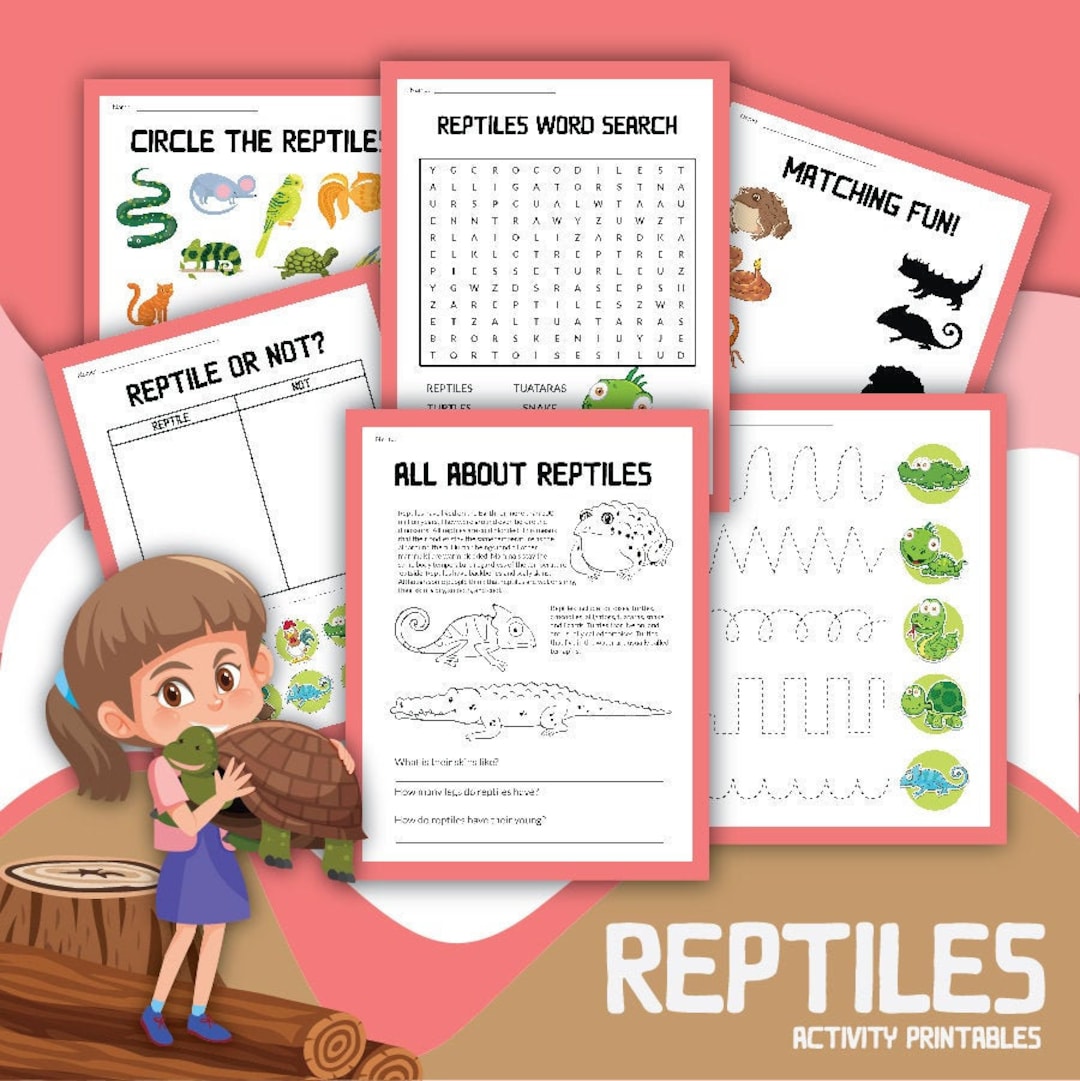 Reptiles All About Reptiles Digital Download Instant - Etsy