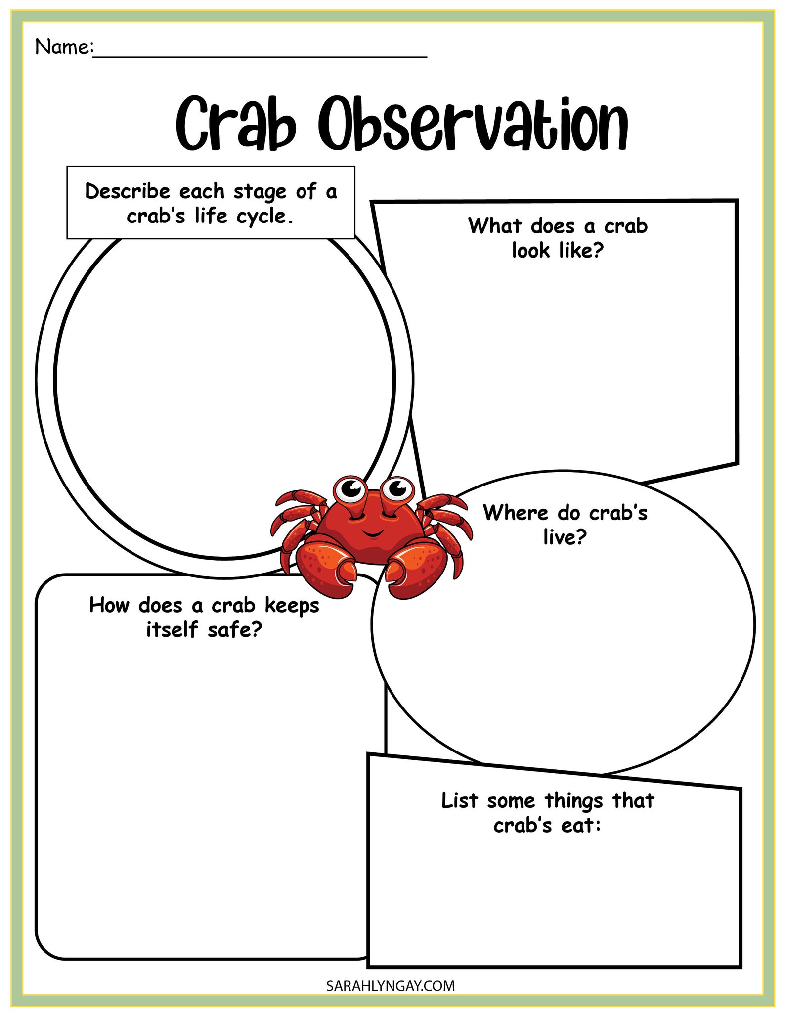 Crab Life Cycle, Crabs, All About Crabs, Instant Download, STEM ...