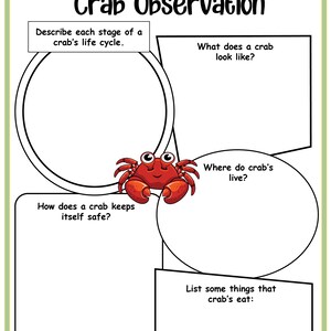 Crab Life Cycle, Crabs, All About Crabs, Instant Download, STEM ...